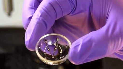 3D printed ‘bionic eye’ looks likely following breakthrough - Public ...