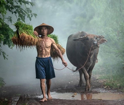 Từ “lỗ cốt” đến “con cu hai cốt” - Báo Công an Nhân dân điện tử