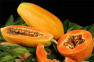 Những điều chưa biết về quả đu đủ - Báo Công an Nhân dân điện tử